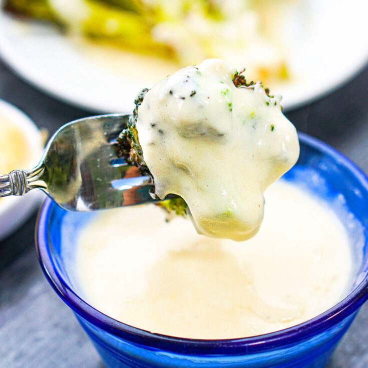 Keto Alfredo Sauce with Cottage Cheese Recipe - My Life Cookbook - low ...