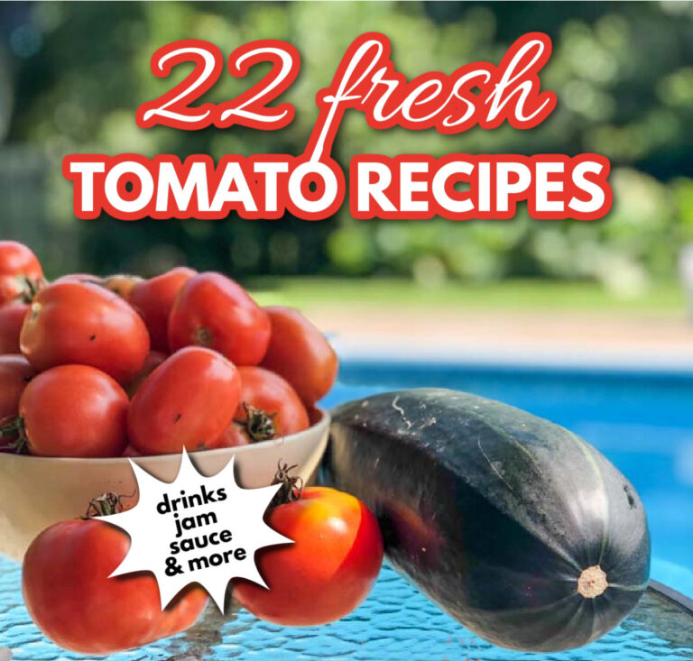 22 Recipes using Fresh Tomatoes | tomato jam, sauce and more!