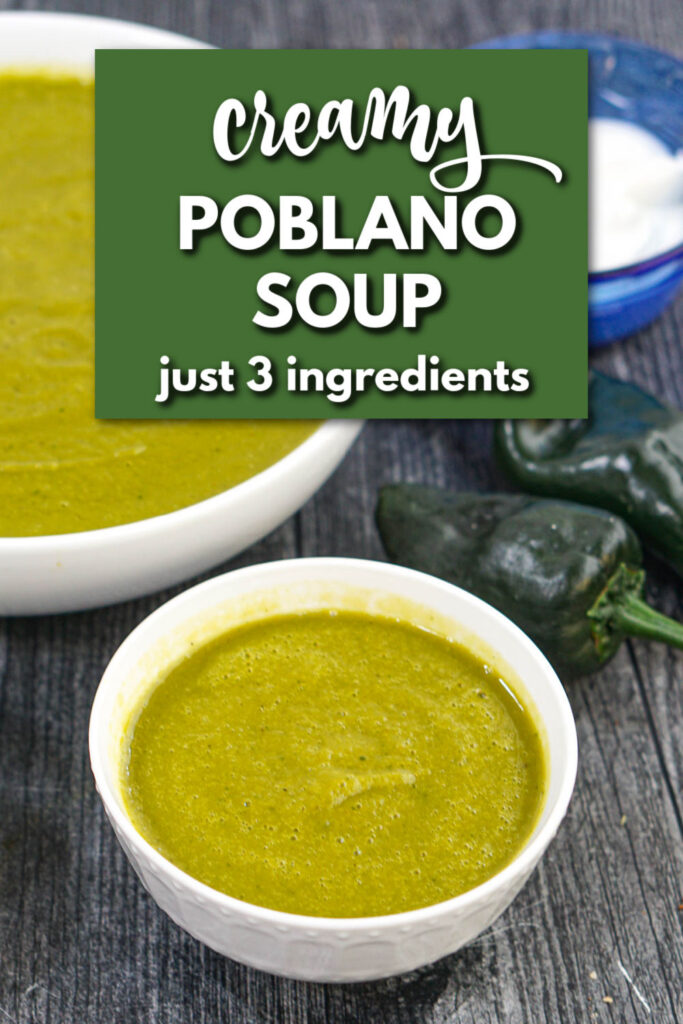 Easy Creamy Poblano Soup Recipe | just 3 ingredients needed!