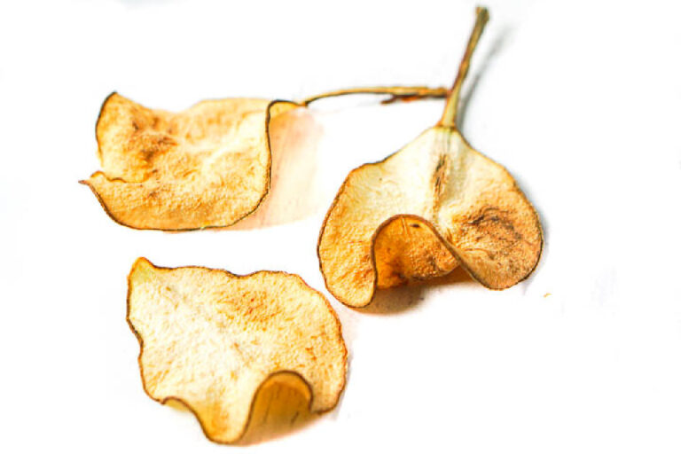 Pear Chips in the Oven (or Air Fryer) | easy & healthy snack recipe!